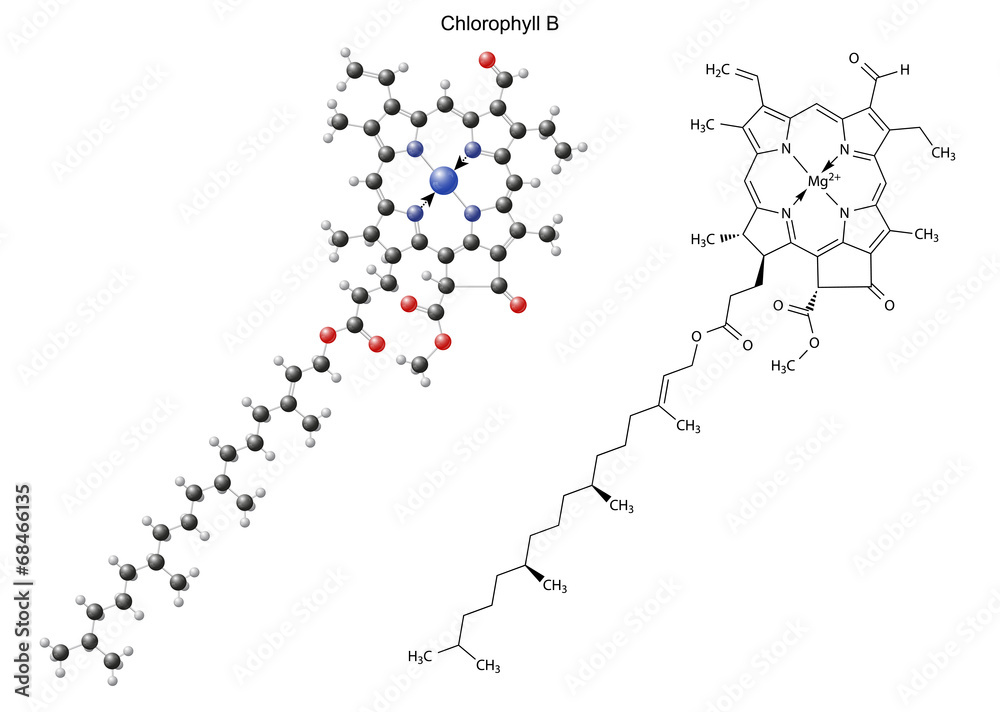 Structural chemical formula and model of chlorophyll B Stock Vector ...