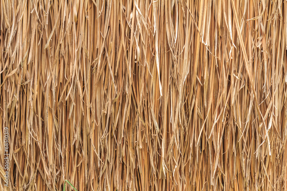 thatch roof Stock Photo | Adobe Stock