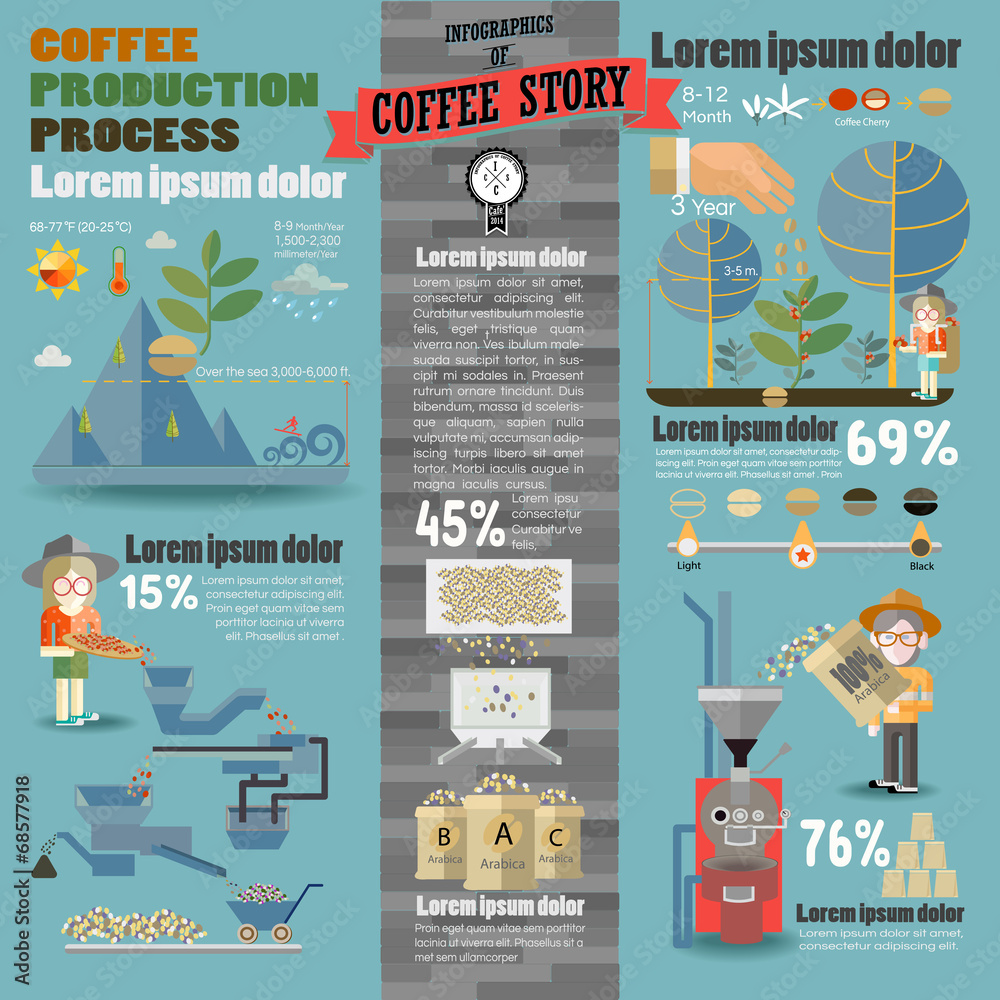 INFOGRAPHICS OF COFFEE STORY, Coffee Production Process. Stock Vector ...