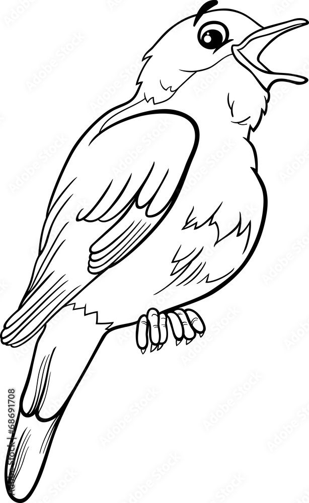 nightingale bird coloring page Stock Vector | Adobe Stock
