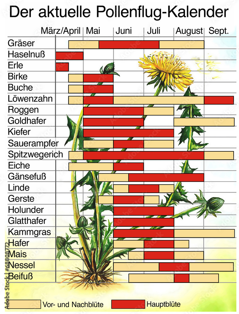 Pollenflugkalender Stock-Illustration | Adobe Stock