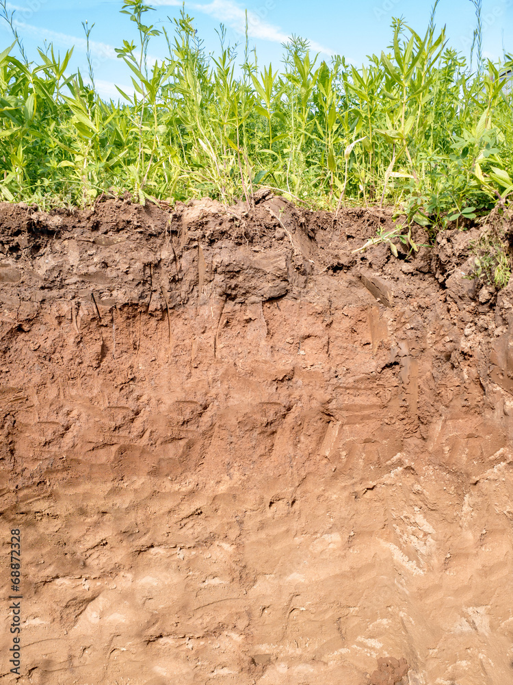 Querschnitt der verschiedenen Bodenschichten des Erdreich Stock Photo ...