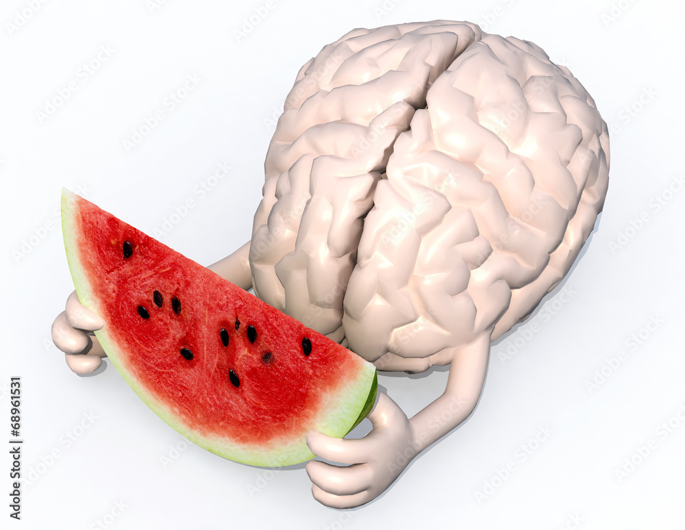 brain with arms and a watermelon slice on hands Stock Illustration ...