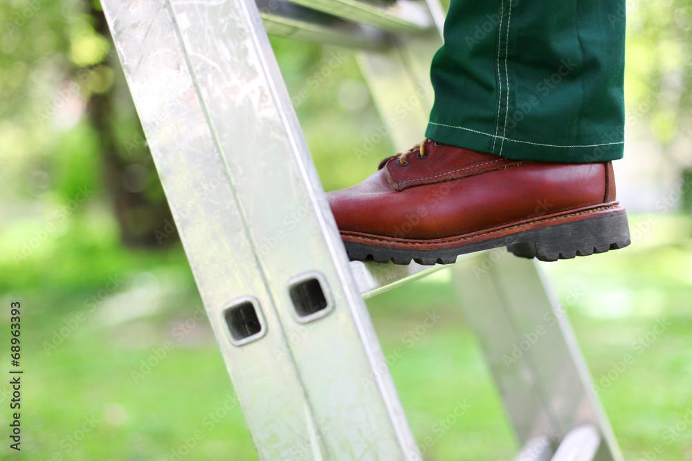 Leiter besteigen Stock-Foto | Adobe Stock