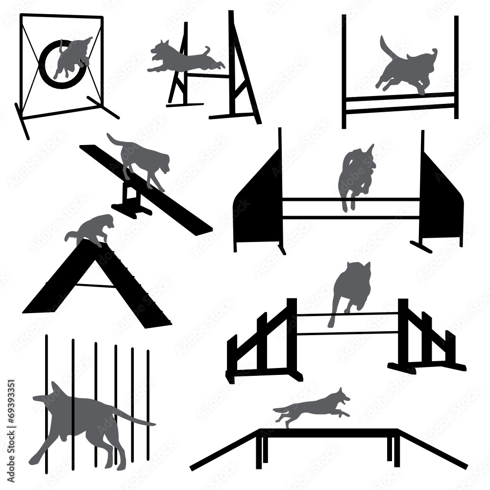 Agility Stock Vector | Adobe Stock