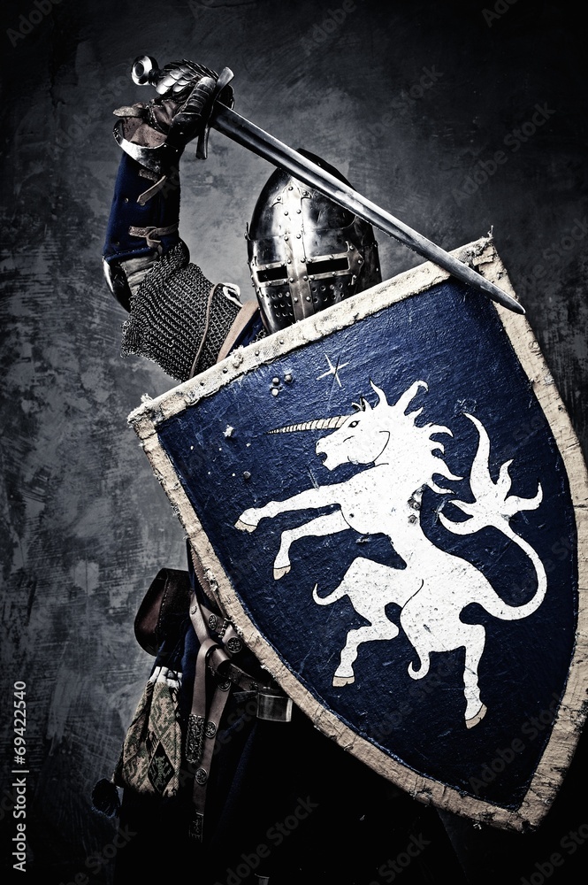 Medieval knight against stone wall Stock Photo | Adobe Stock