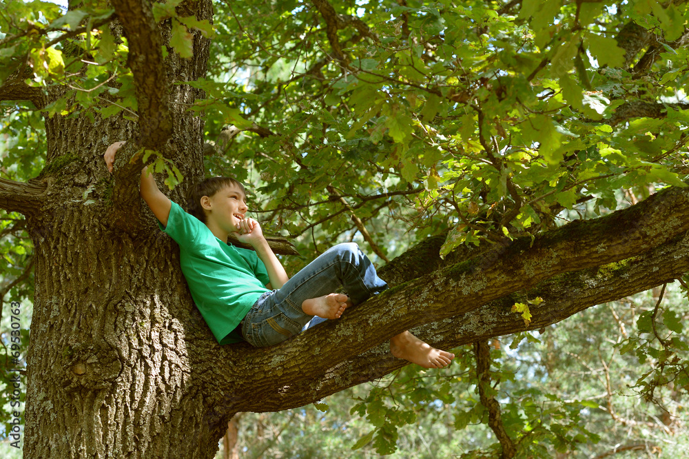 Little boy on tree Stock Photo | Adobe Stock