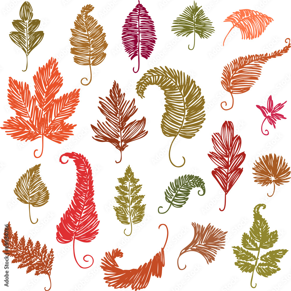 doodles leaves Stock Vector | Adobe Stock