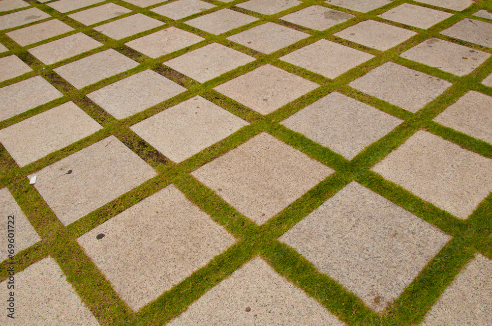 square foot path with green line texture background Stock Photo | Adobe ...