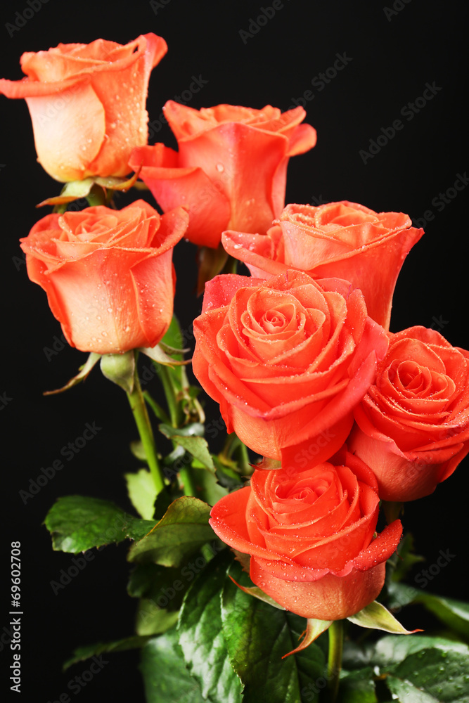 Bouquet of beautiful roses on black background Stock Photo | Adobe Stock