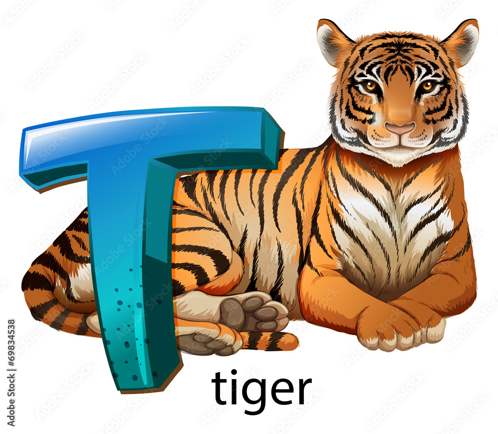A letter T for tiger Stock Vector | Adobe Stock