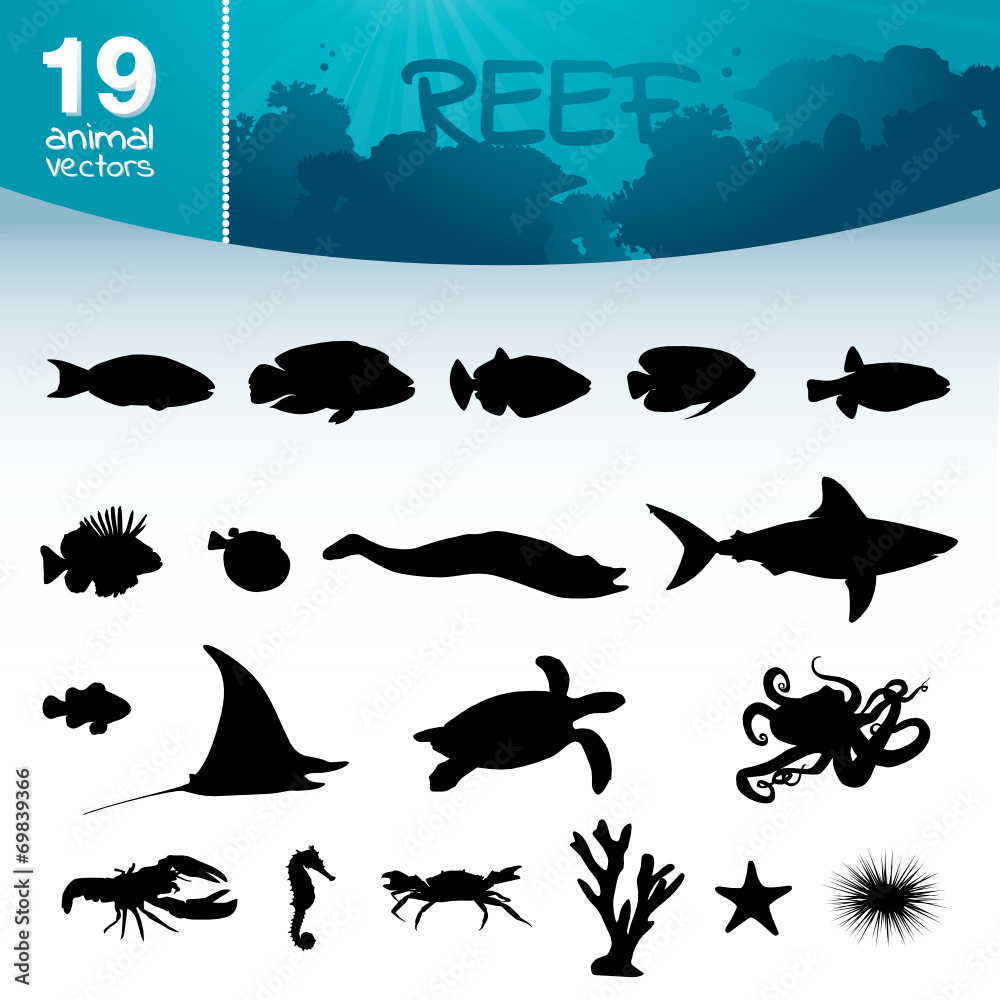 Riff Set vector de Stock | Adobe Stock