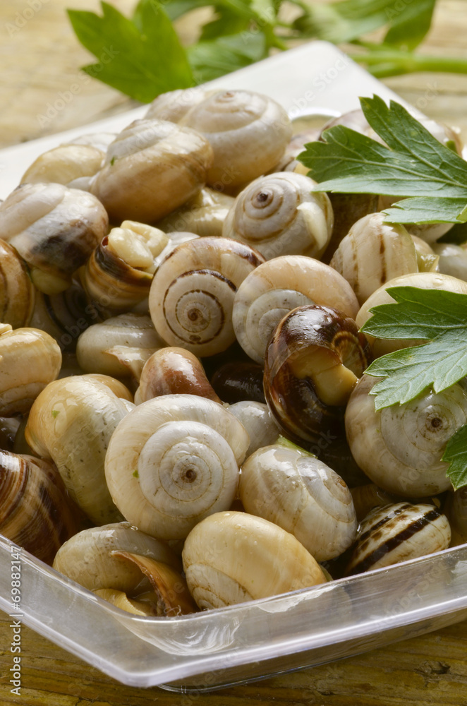 Foto Stock Bovoletti Cucina veneta Snails Lumachine di terra | Adobe Stock