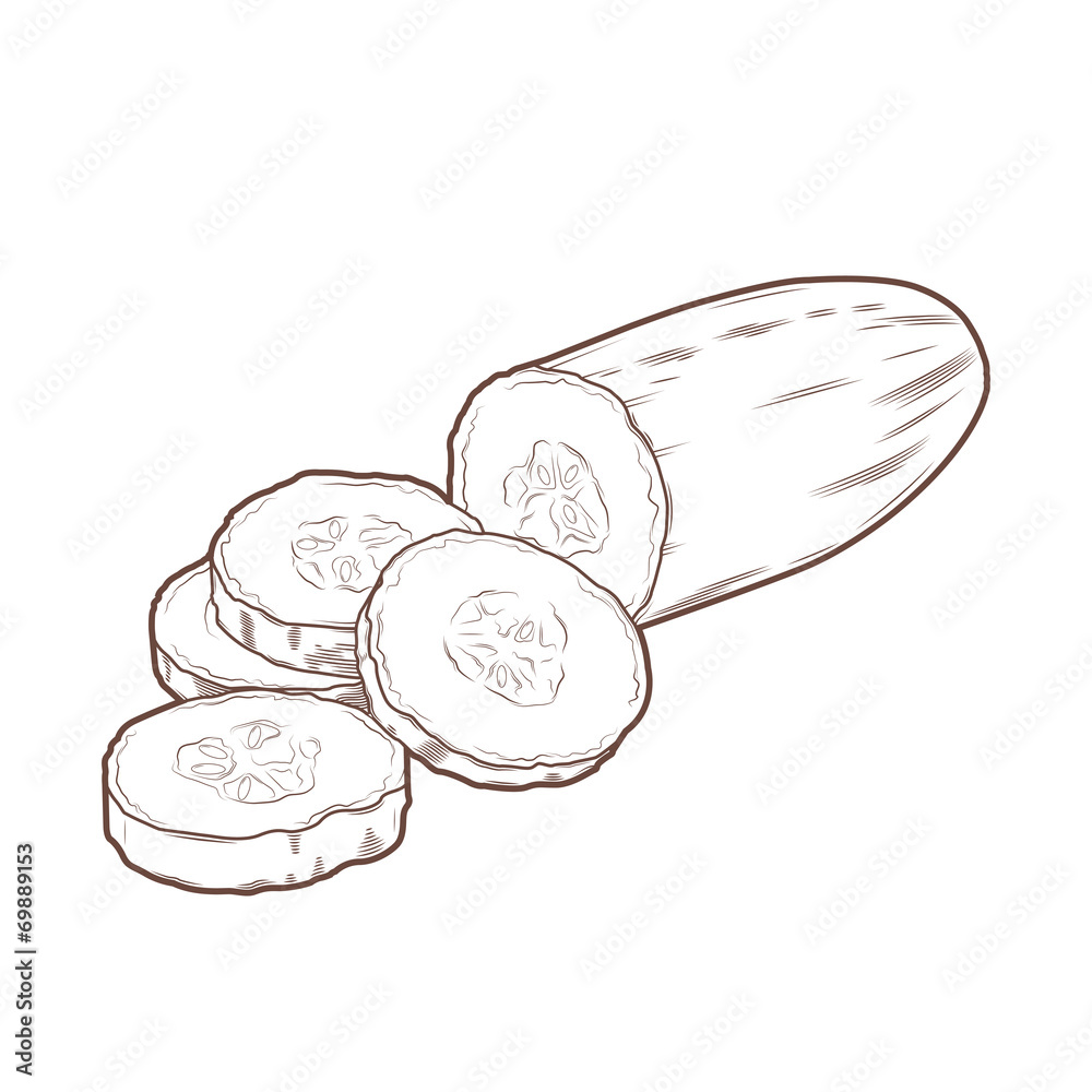 Cucumber Drawing Black And White
