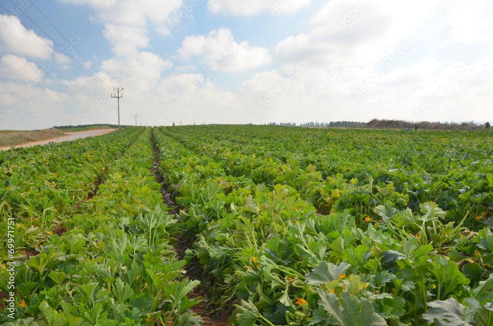 Fertile Crops