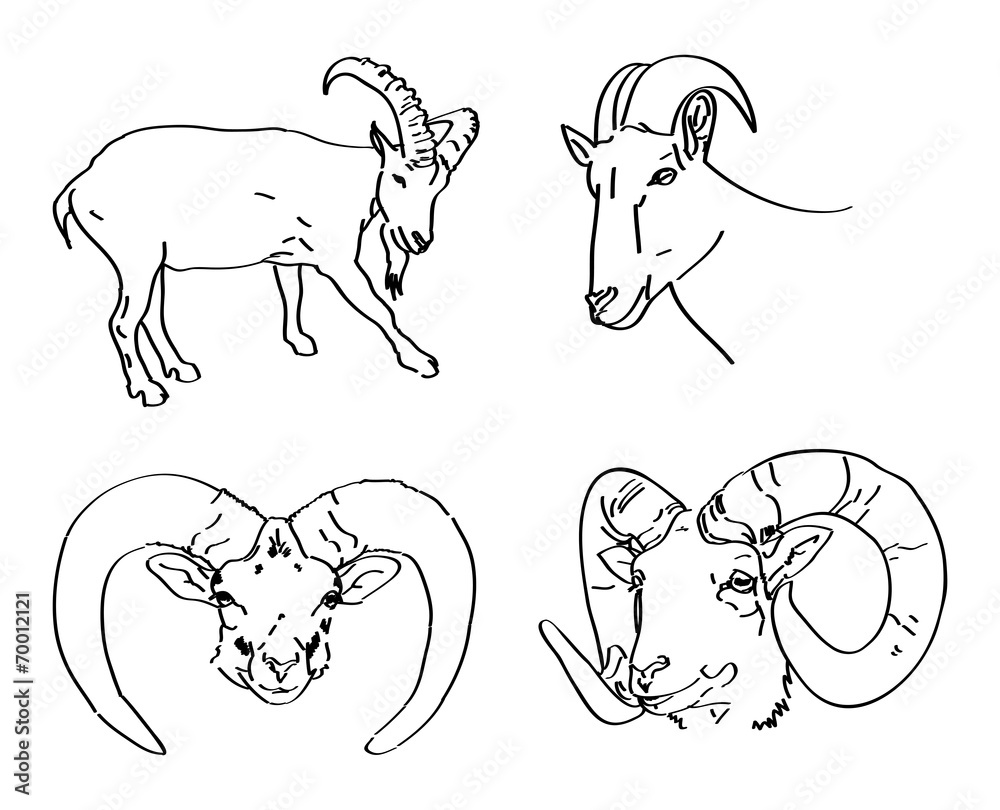 set of painted ram's head Stock Vector | Adobe Stock set of painted ram's head Stock Vector | Adobe Stock