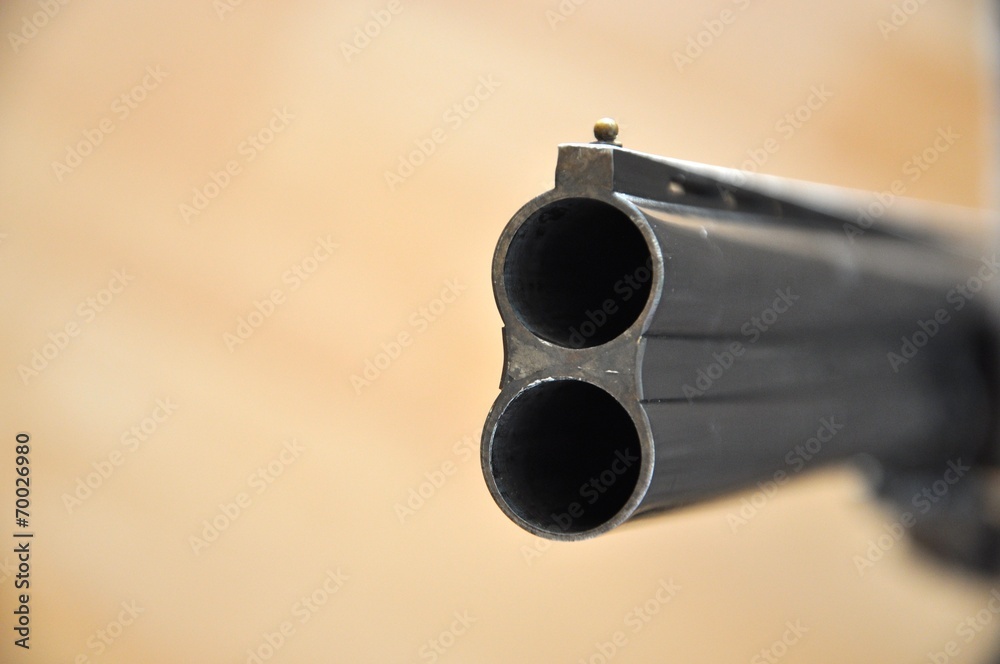 Doppelläufige Schrotflinte Stock-Foto | Adobe Stock