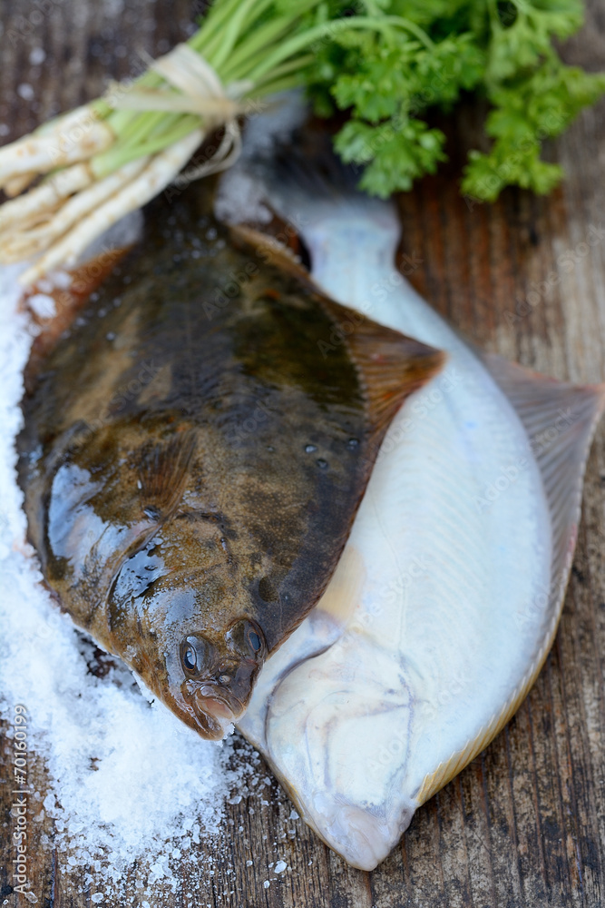 Fresh flounder fish on salt Stock Photo | Adobe Stock