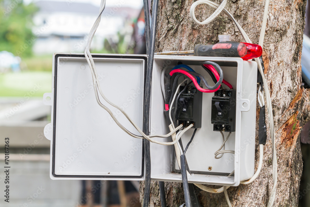 Set up Two switch in box on the tree. Stock Photo | Adobe Stock