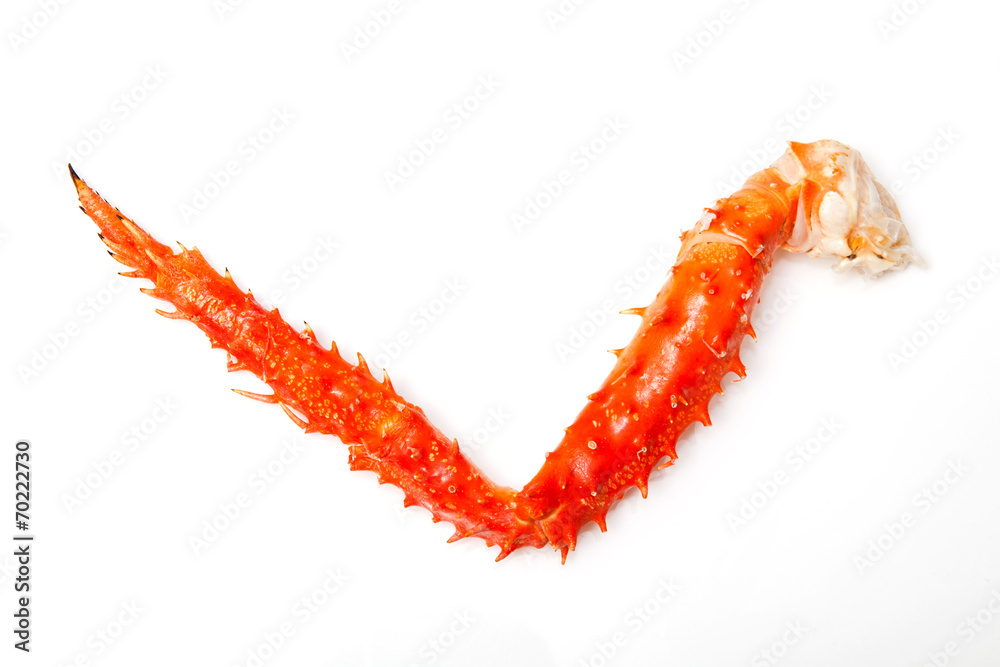 Peruvian King crab leg isolated on a white studio background. Stock ...