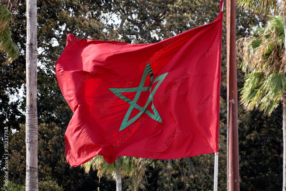 Drapeau du Maroc. Drapeau marocain. Stock Photo | Adobe Stock