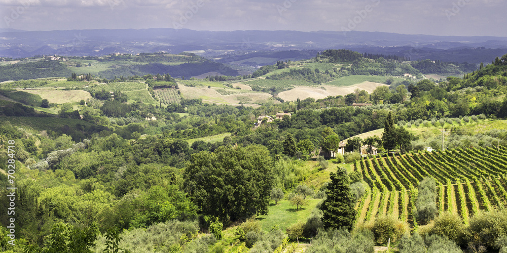 Foto Stock Val di Cornia, Tuscany, panorama. Color image | Adobe Stock