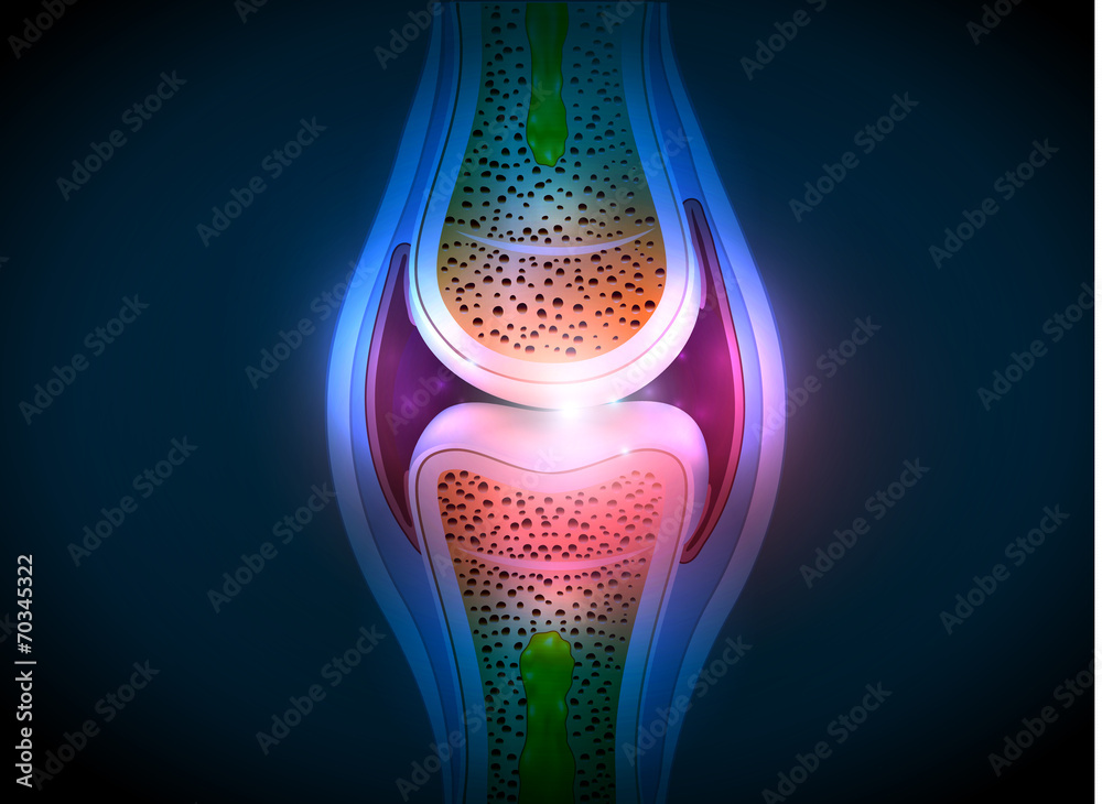 Synovial joint anatomy abstract bright design Stock Vector | Adobe Stock