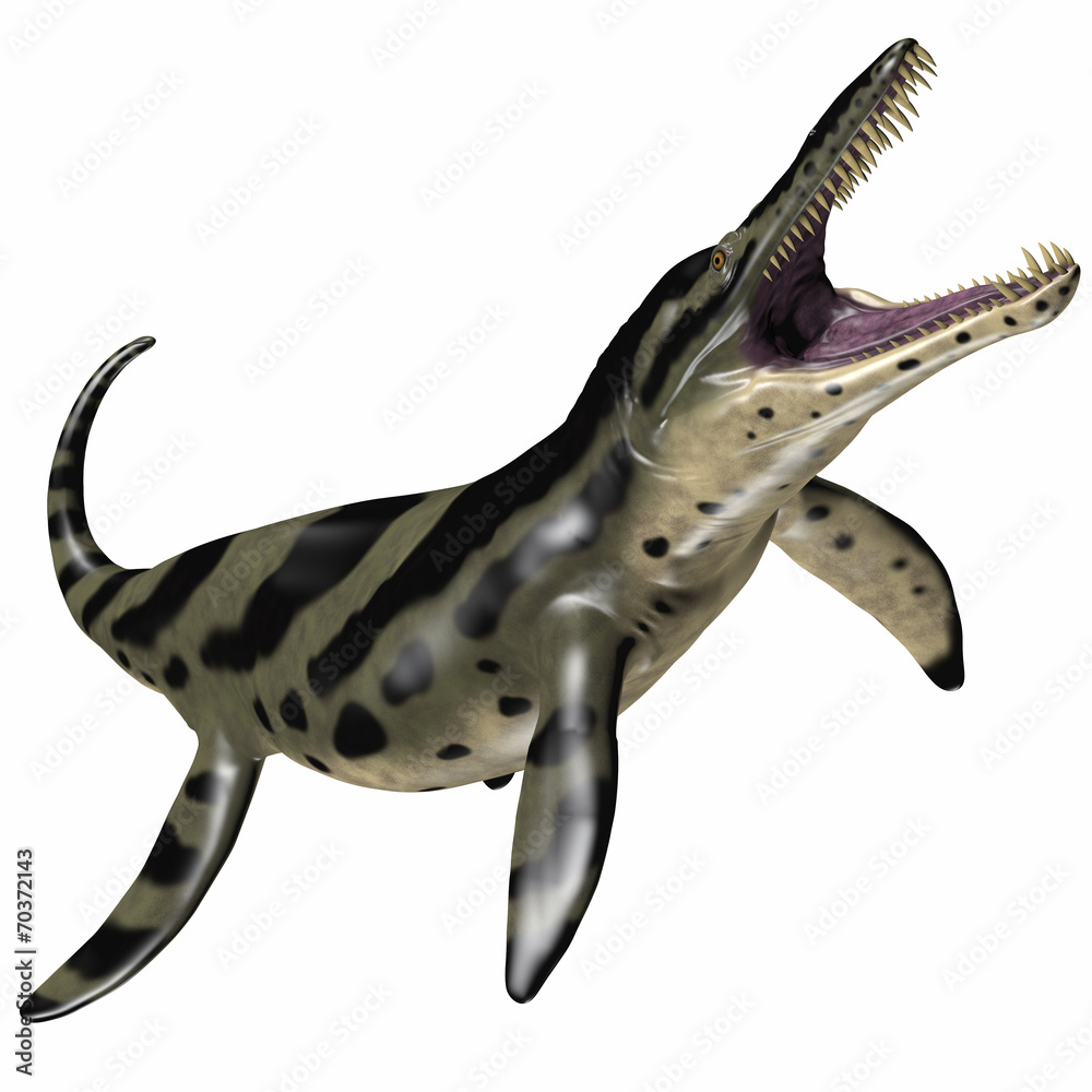 Kronosaurus on White Stock Illustration | Adobe Stock