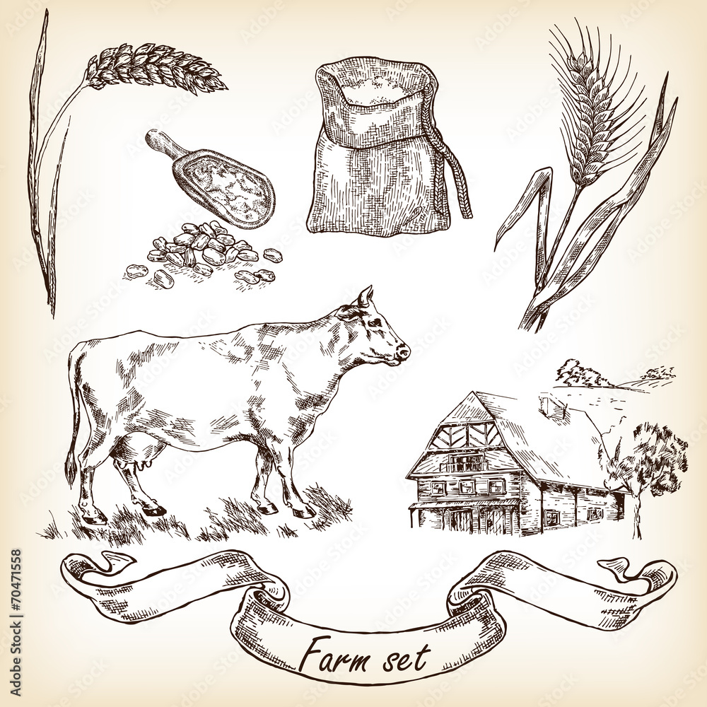 Farm set. Hand drawn illustration of cow, house, grain, meal Stock ...