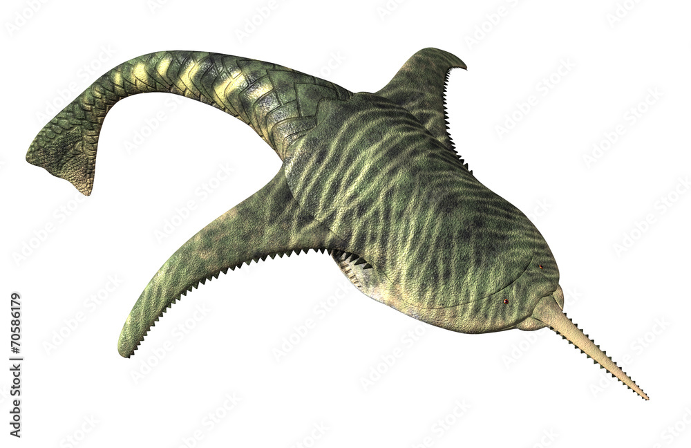 Doryaspis - Prehistoric Fish Stock Illustration | Adobe Stock