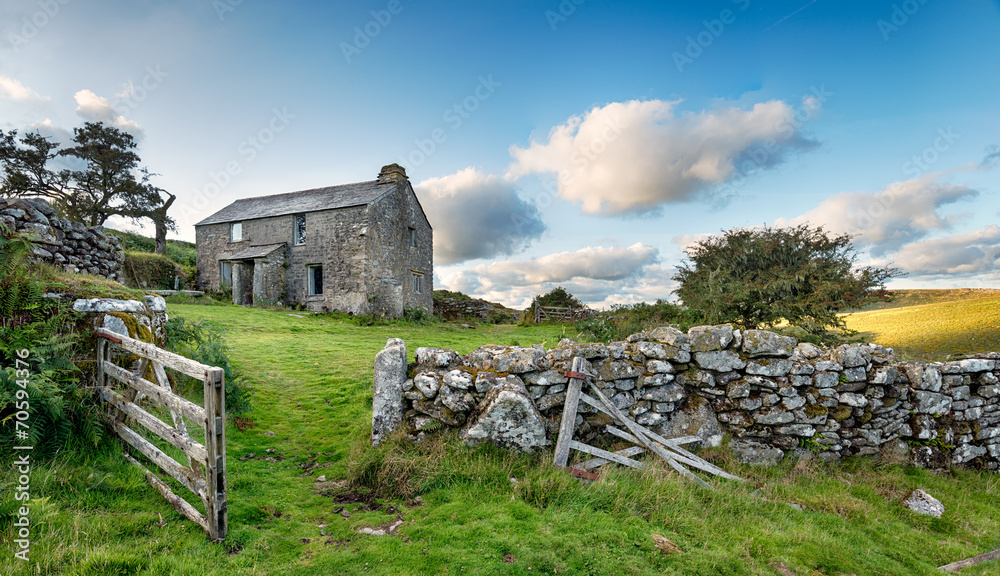 Socionics: Model D and its slow evolution.: Socionics Quadras in a nutshell