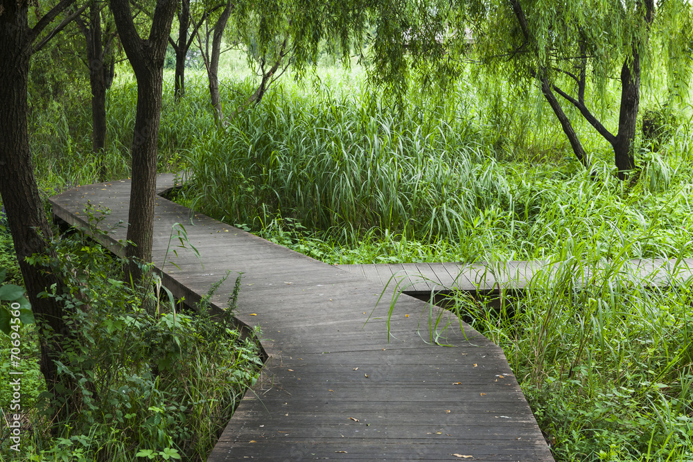 wooden plank road Stock Photo | Adobe Stock