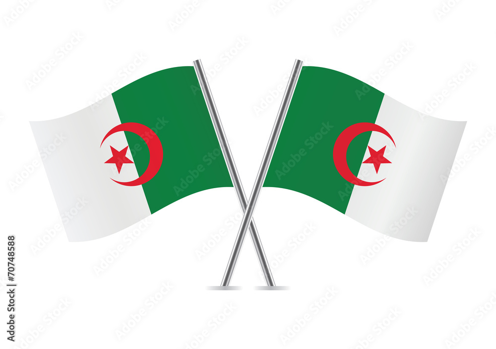 Algeria crossed flags. Algerian flags on white background. Vector icon ...