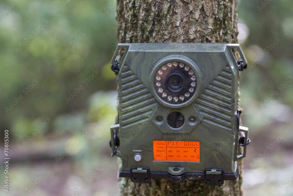 Camera for deer tracking Stock Photo | Adobe Stock