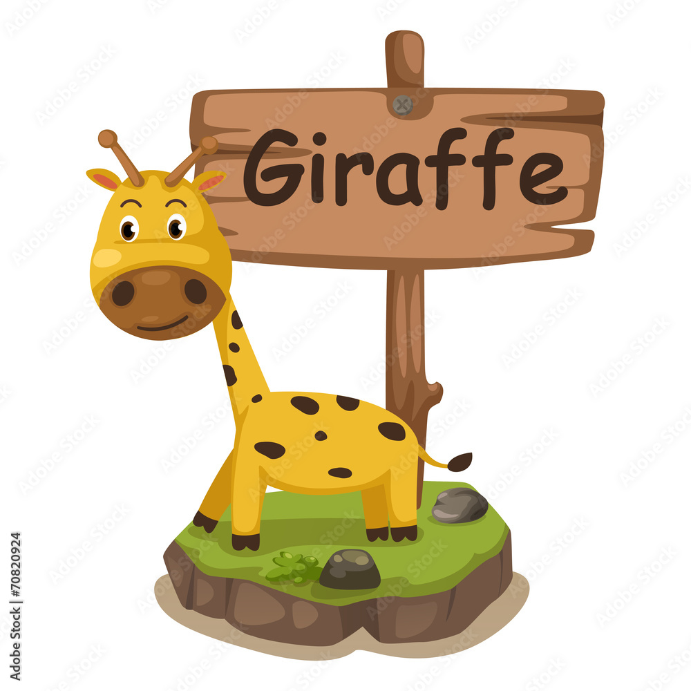 animal alphabet letter G for giraffe Stock Vector | Adobe Stock