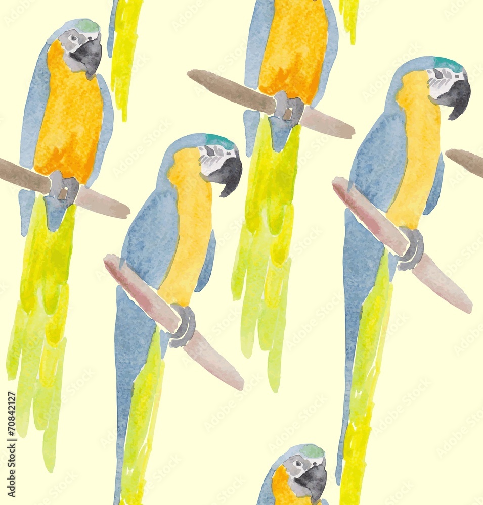 parrot Stock Vector | Adobe Stock