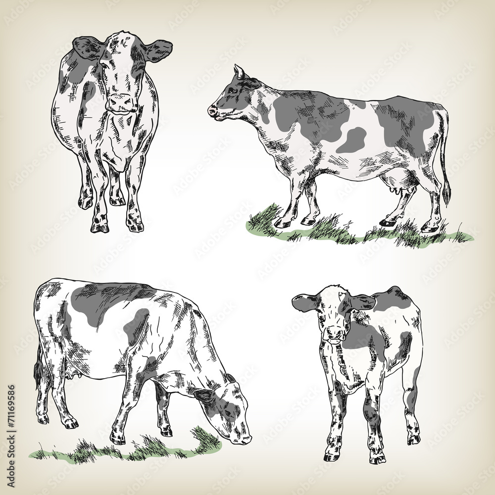 Milk cow set. Hand drawn vector illustration in sketch style Stock ...