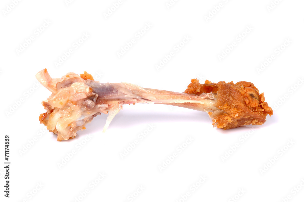chicken bone isolated white Stock Photo | Adobe Stock