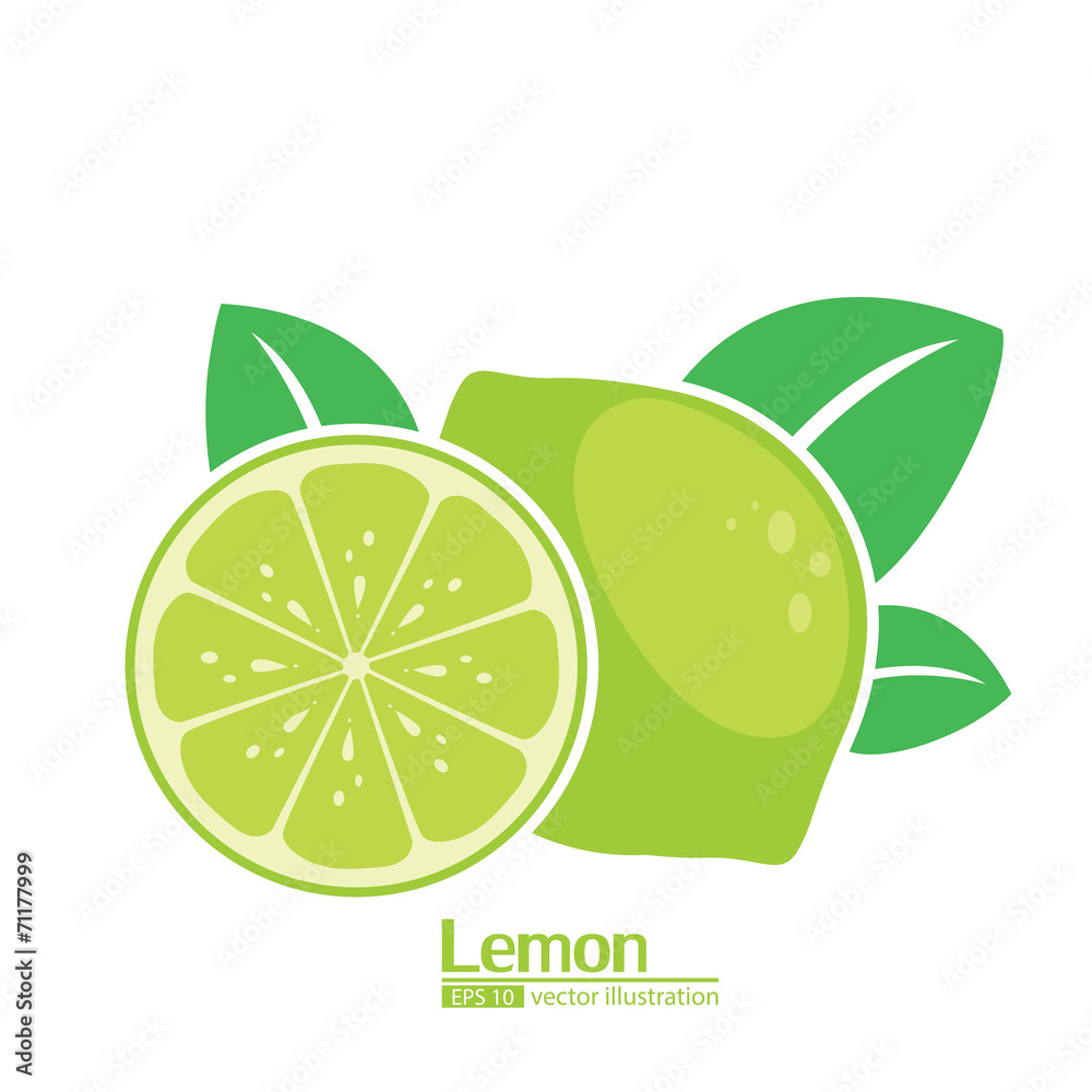 lemon illustrator vector Stock Vector | Adobe Stock