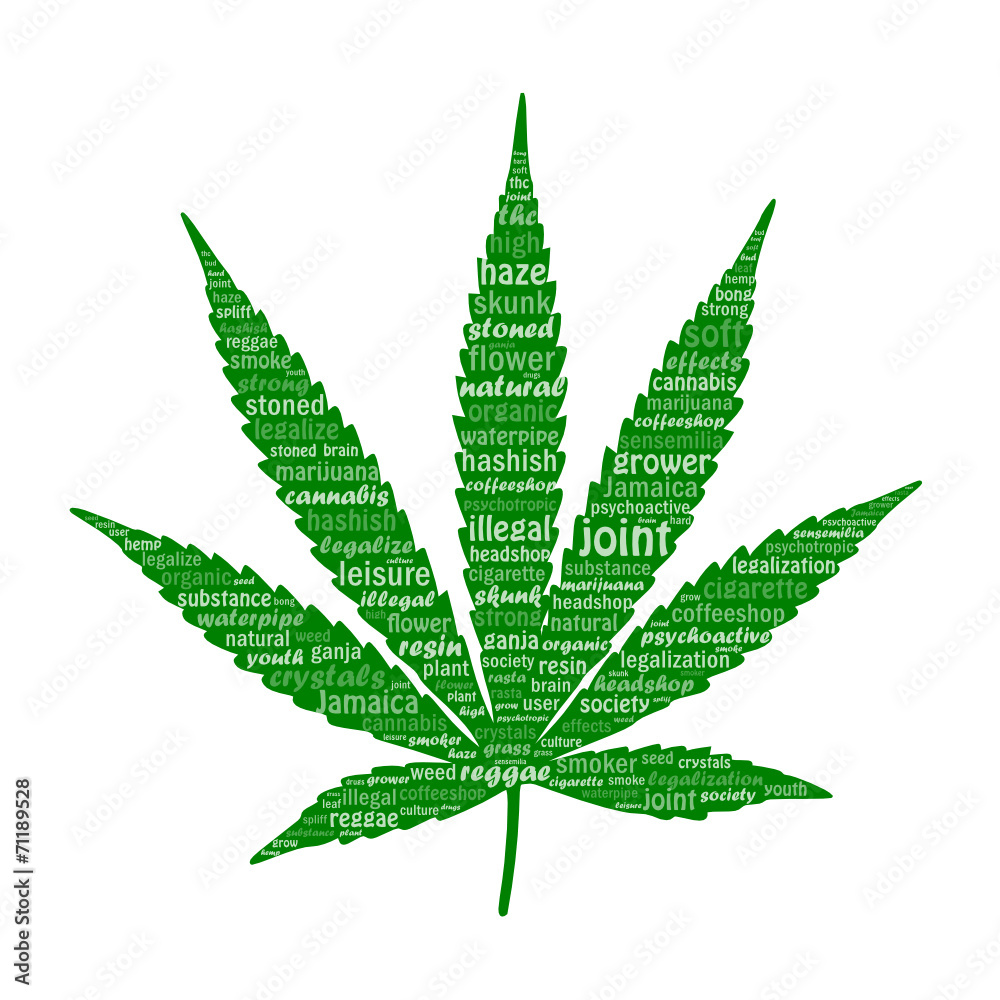 Cannabis Leaf (marijuana grass weed hashish joint drugs) Stock Vector ...
