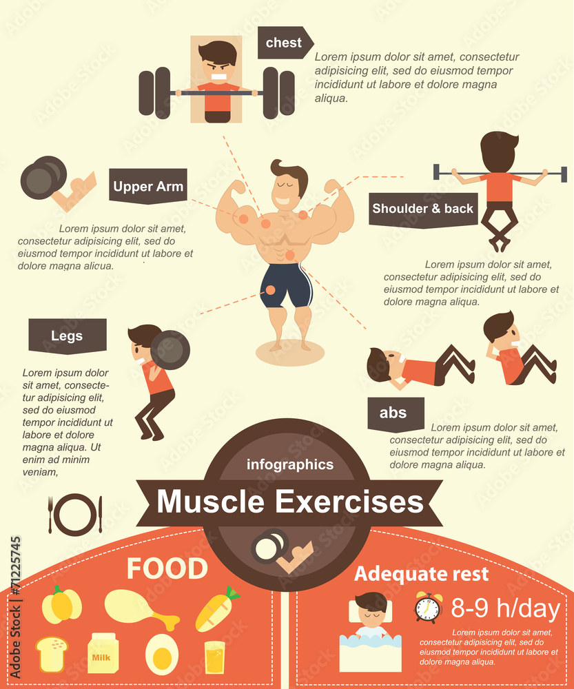 Muscle Exercises infographics Stock Vector | Adobe Stock