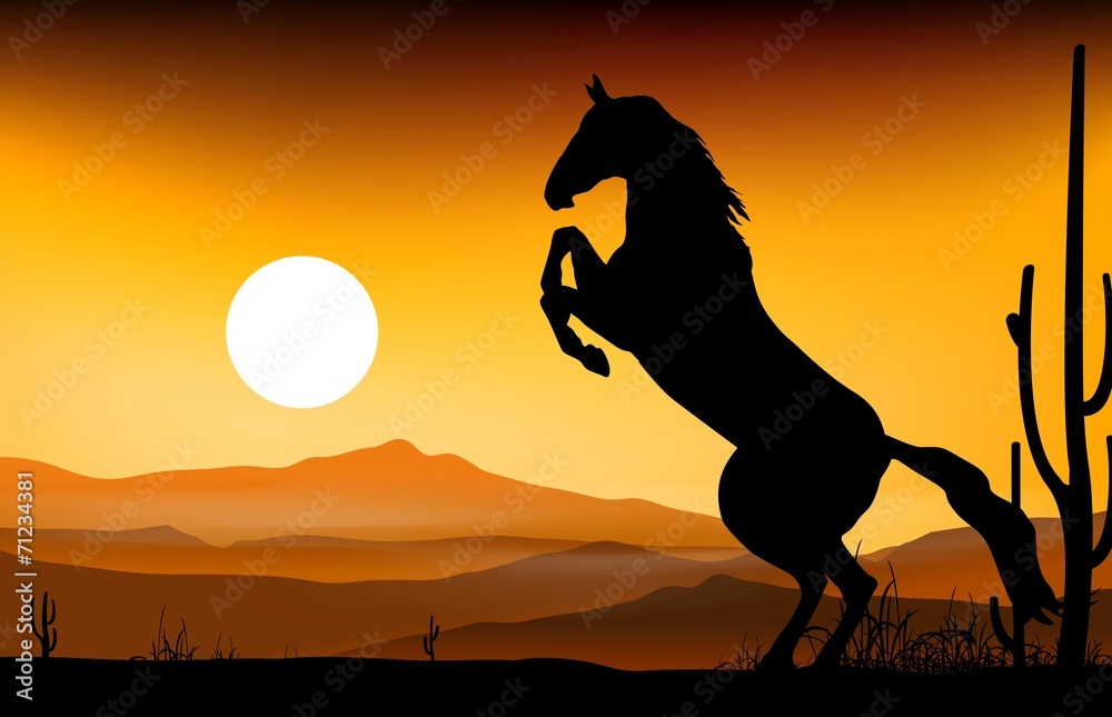 horse silhouette Stock Vector | Adobe Stock