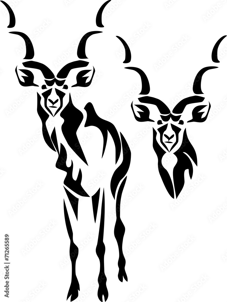 kudu Stock Vector | Adobe Stock