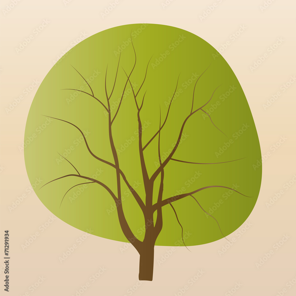 vector drawing of a tree with a huge crown Stock Vector | Adobe Stock