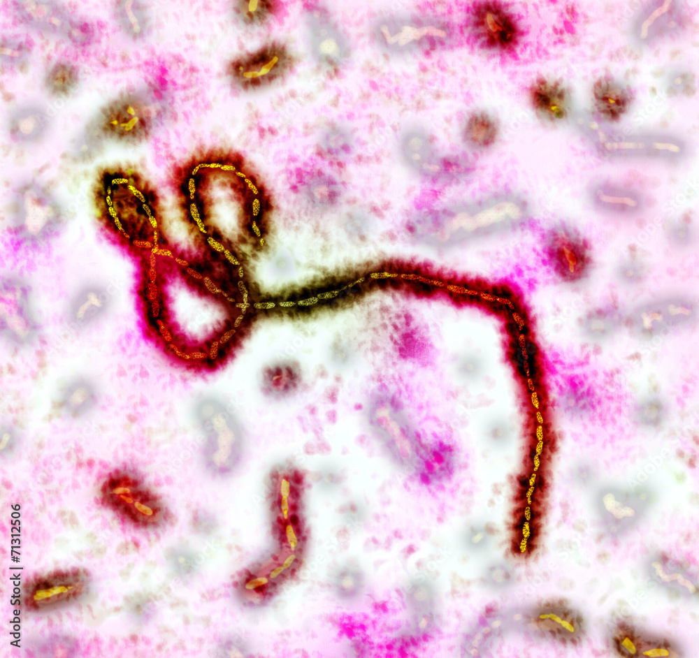Ebola ilustración de Stock | Adobe Stock