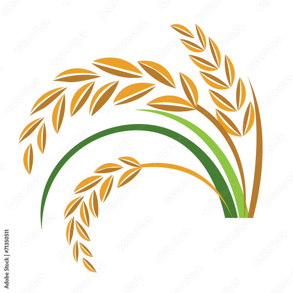 rice vector Stock Vector | Adobe Stock