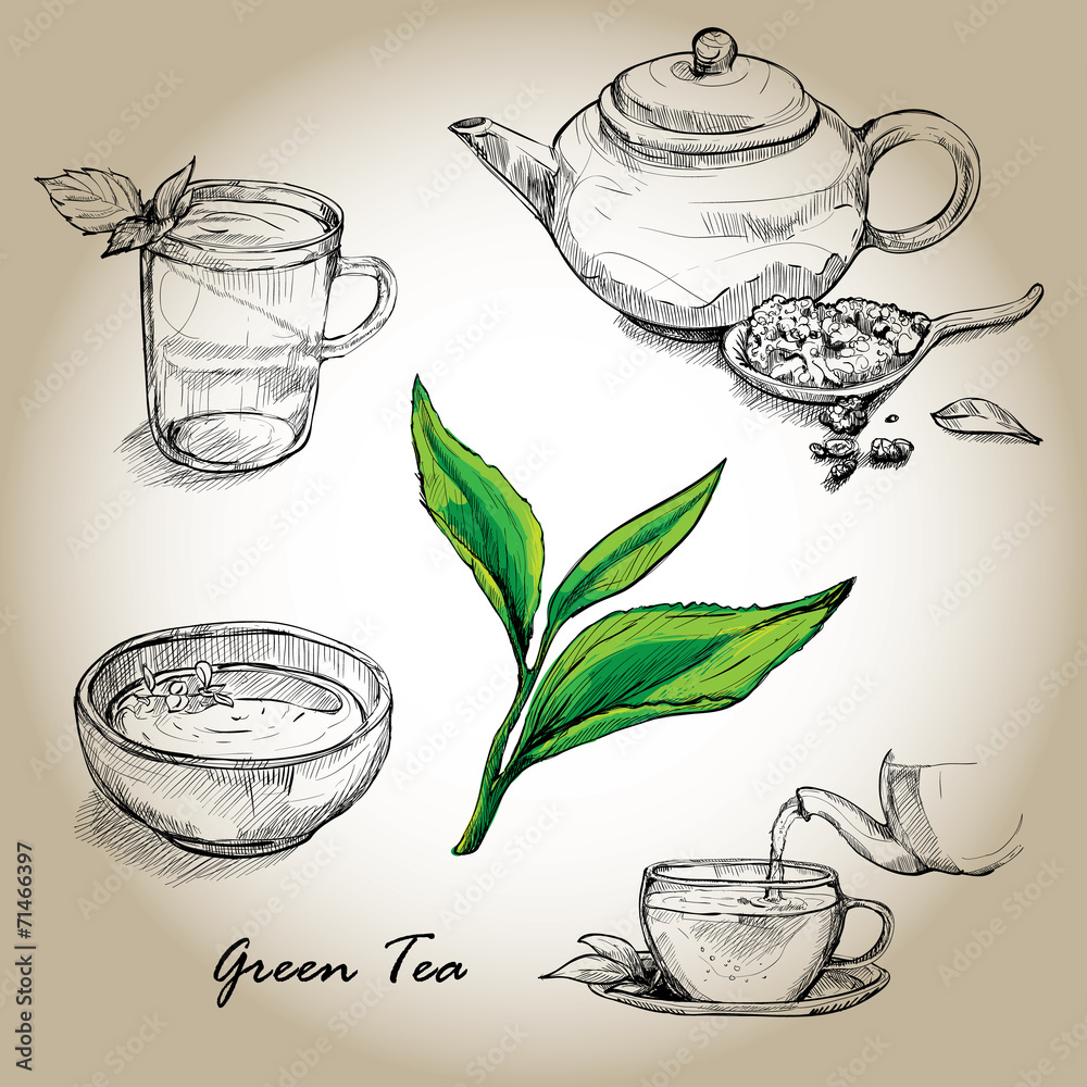 Hand drawn sketch vector tea set Stock Vector | Adobe Stock
