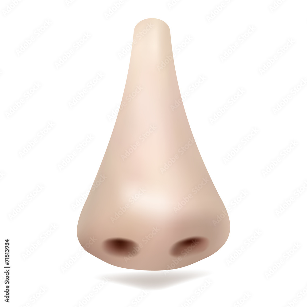 Realistic vector nose on white background Stock Vector | Adobe Stock