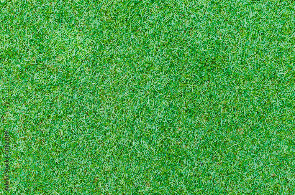 Seamless Golf Grass Texture