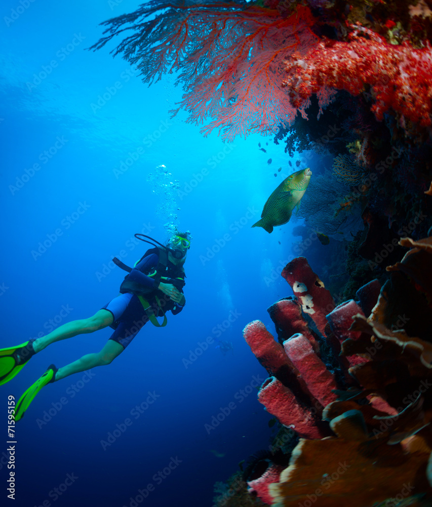 Diver Stock Photo | Adobe Stock